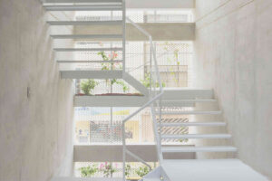 Edificio Cabrera | Angas kipa - veredes