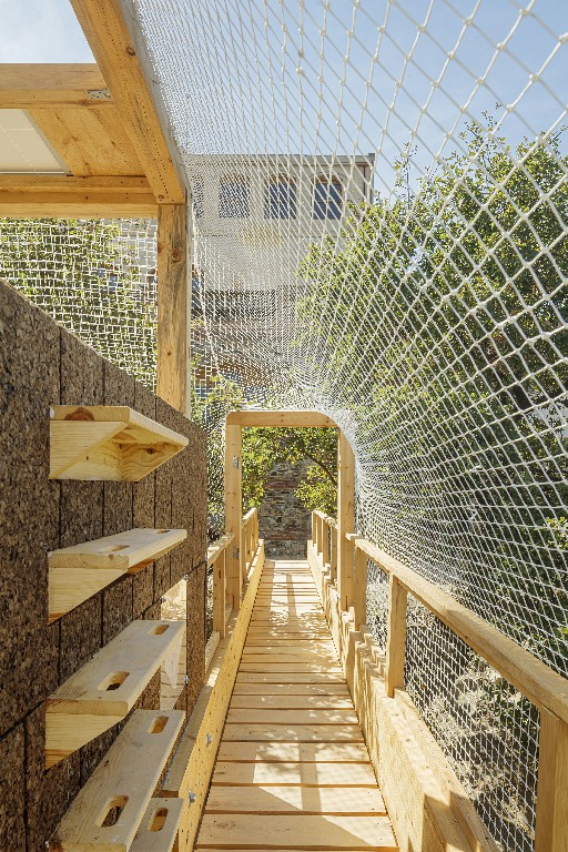 Observatorio FLORA, Forest Lab for Observational Research and Analysis ...