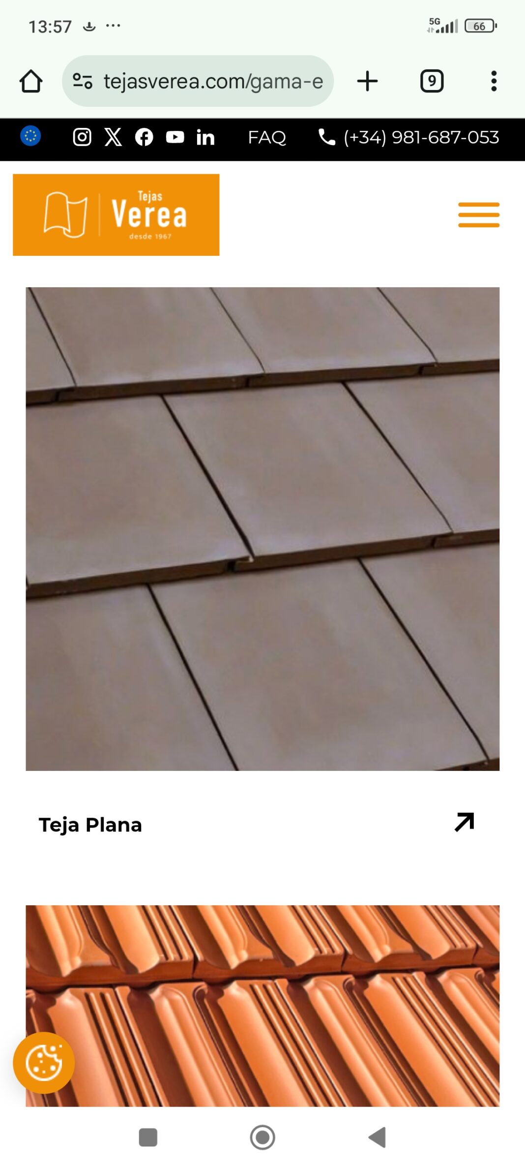 Tejas Verea lanza nueva web para dar respuesta a las necesidades ...